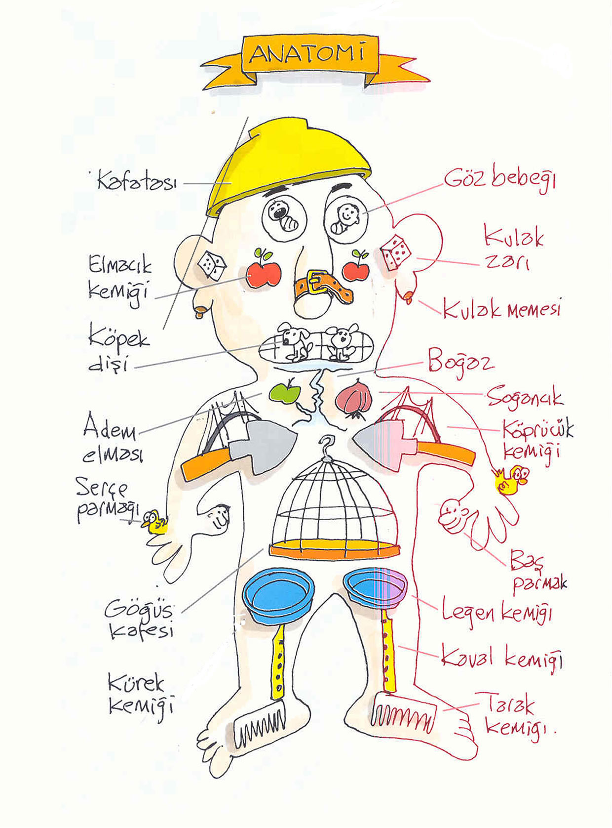 insan vücudu - uludağ sözlük